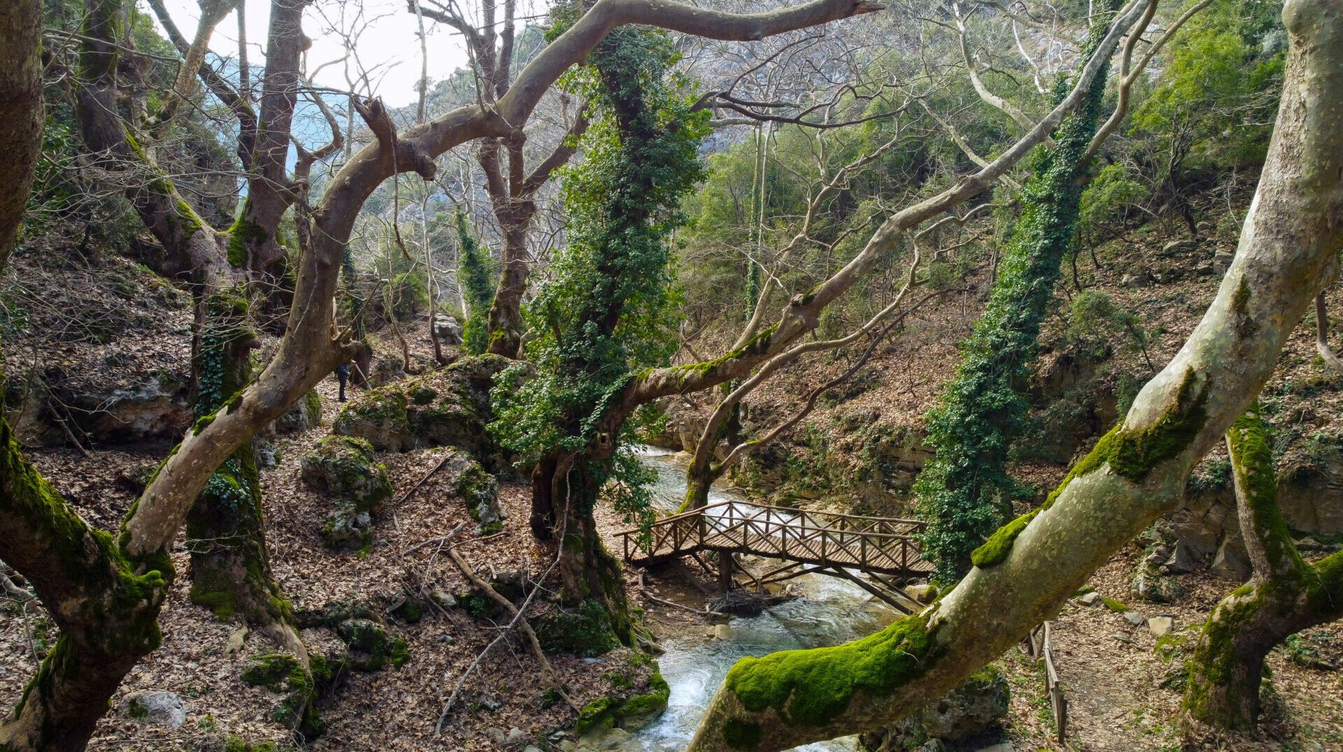 Οι Δήμοι χαρτογραφούν τα μονοπάτια τους! - OnCamera.gr